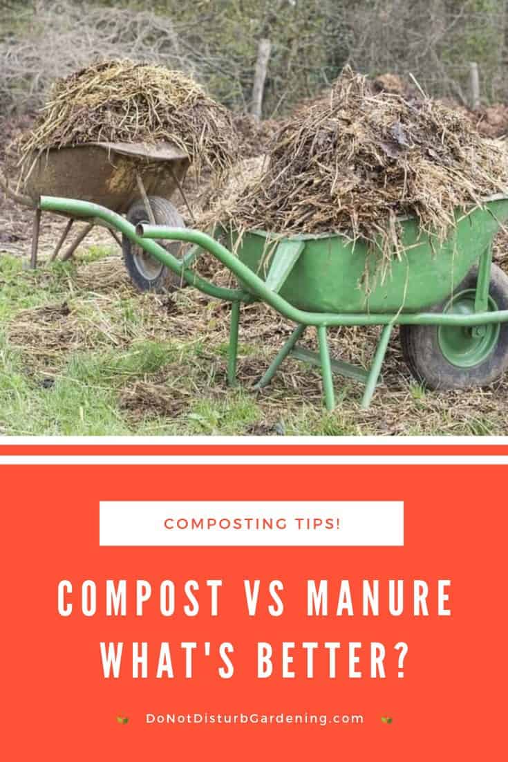 Compost vs Manure for Vegetable Gardens: What’s Better? – Do Not ...