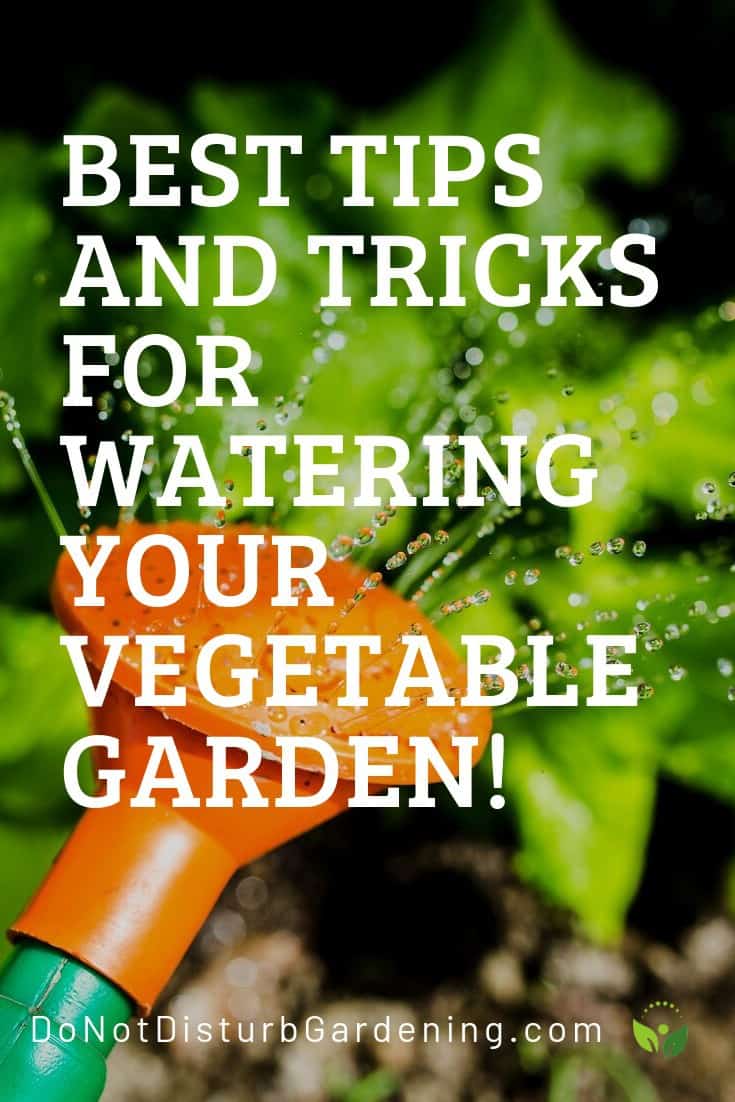 Watering Your Garden: When, How Often, and How Much? – Do Not Disturb ...