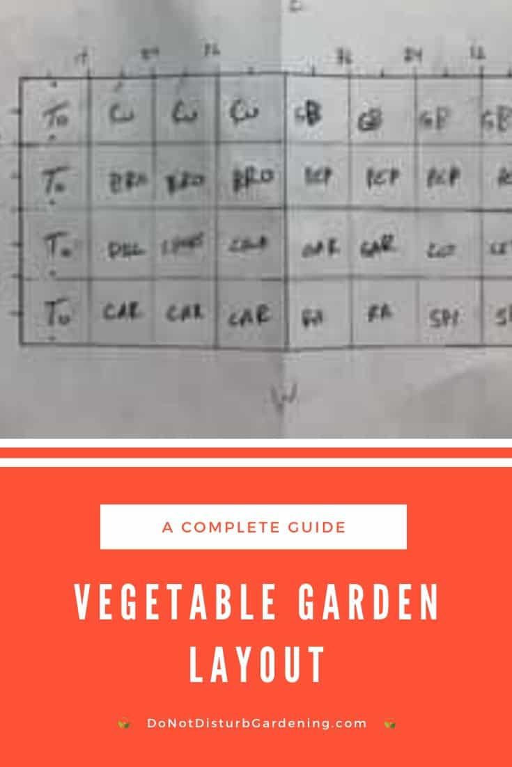 Planning the Layout of a Vegetable Garden: A Complete Guide – Do Not ...