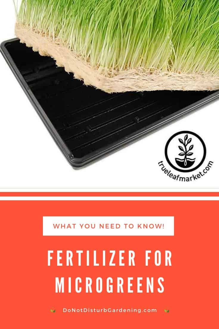 Fertilizer for Microgreens: What You Need to Know! – Do Not Disturb ...