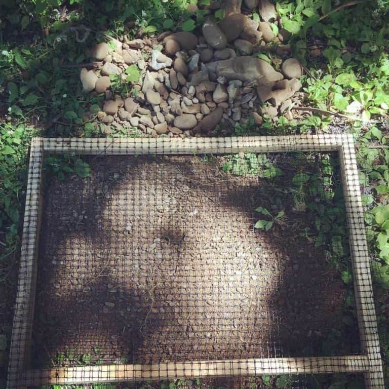 3 Effective Ways to Remove Rocks from Soil – Do Not Disturb Gardening