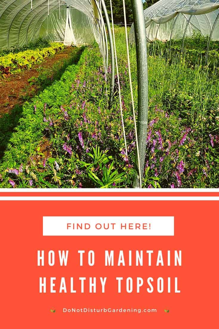 How to Store and Preserve Topsoil Long-Term – Do Not Disturb Gardening