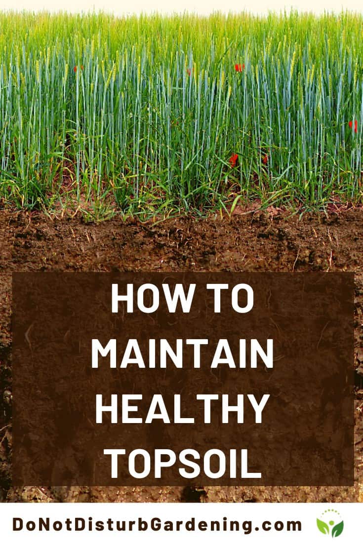 How to Store and Preserve Topsoil Long-Term – Do Not Disturb Gardening