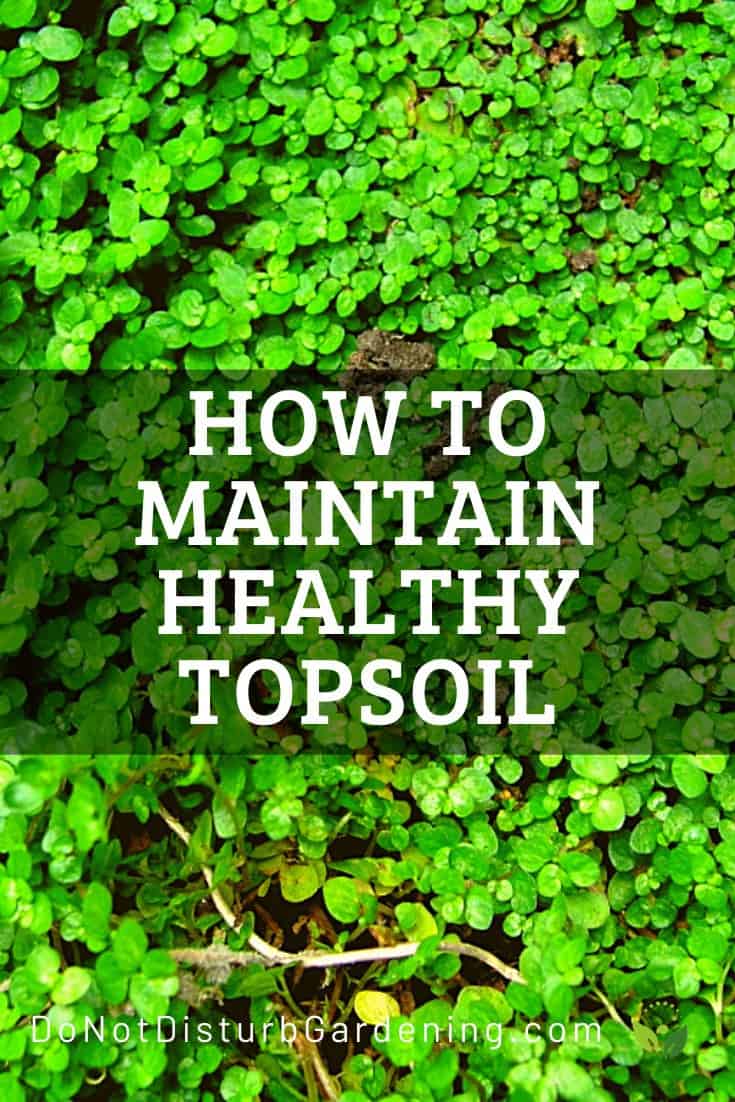 How to Store and Preserve Topsoil Long-Term – Do Not Disturb Gardening